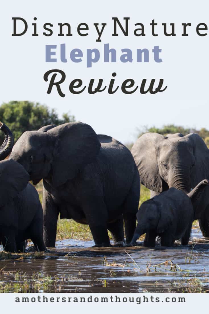 DisneyNature Elephant Review - A Mother's Random Thoughts