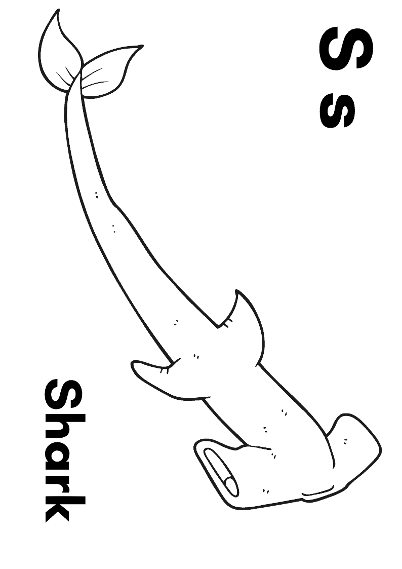 Free Shark Printables and Facts for Shark Week 2023 - A Mother's Random ...