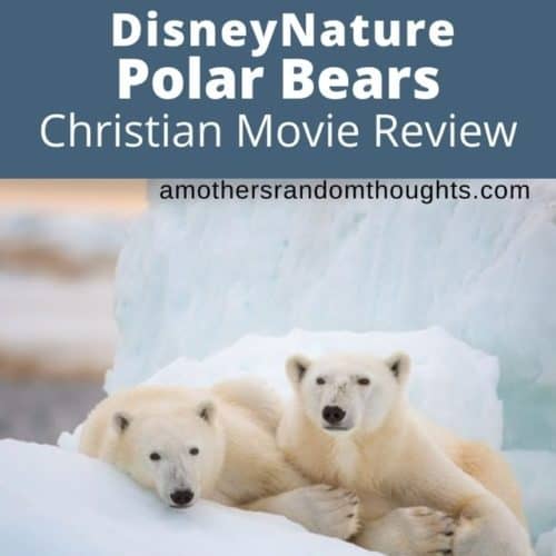 DisneyNature Polar Bear Christian Movie Review - A Mother's Random Thoughts
