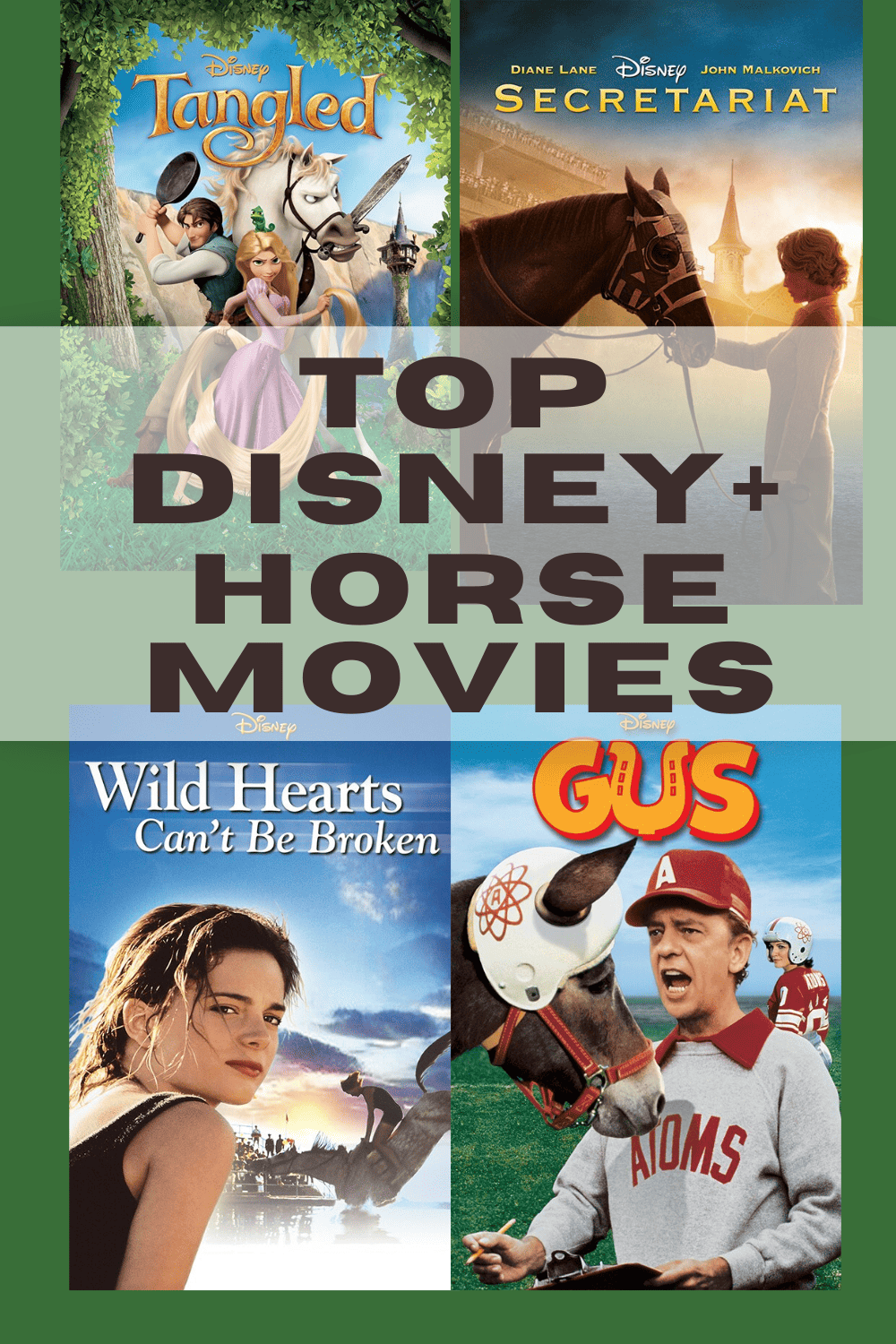 Gallop Through Magic: Top Horse Movies on Disney Plus - A Mother's ...
